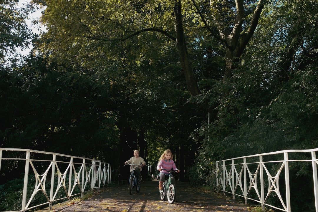 Framenummer fiets checken: Hoe doe je dat? – BikeFlip